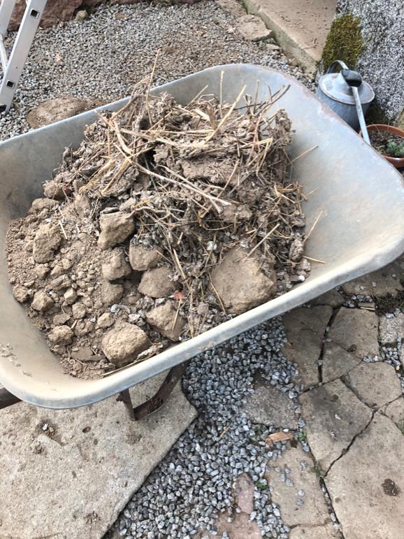 pigeon poop – Notes from Le Chassaing